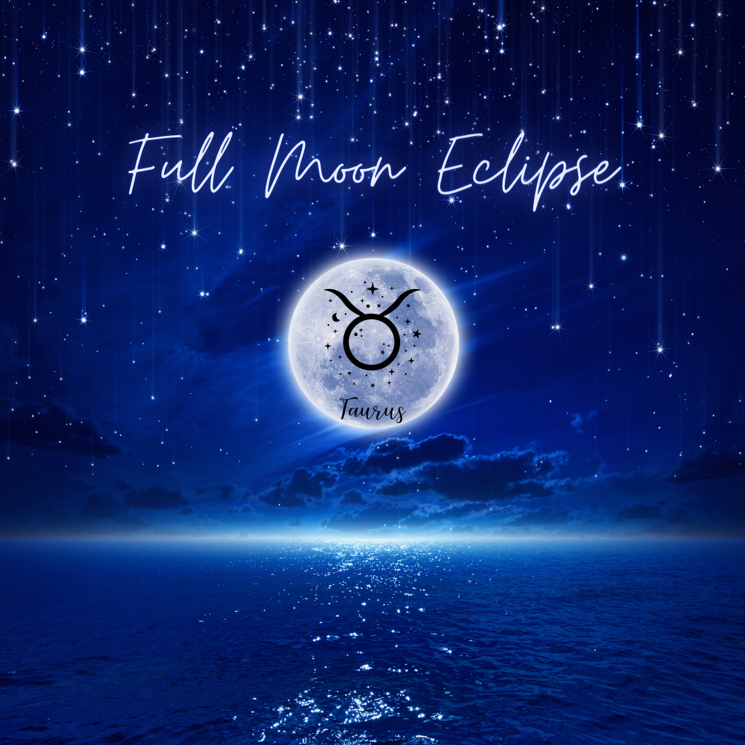 Full Moon Eclipse - Body Circuit Bootcamp Fitness & Personal Training